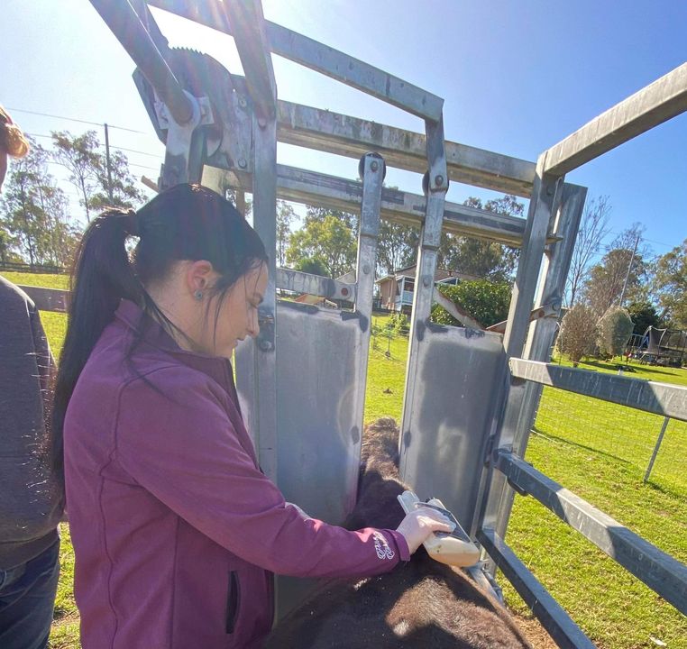 Bede Polding College | South Windsor