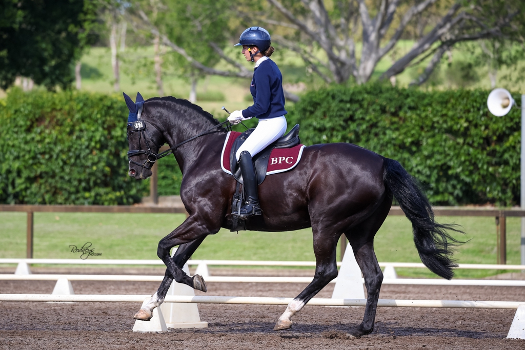 Bede Polding College | South Windsor