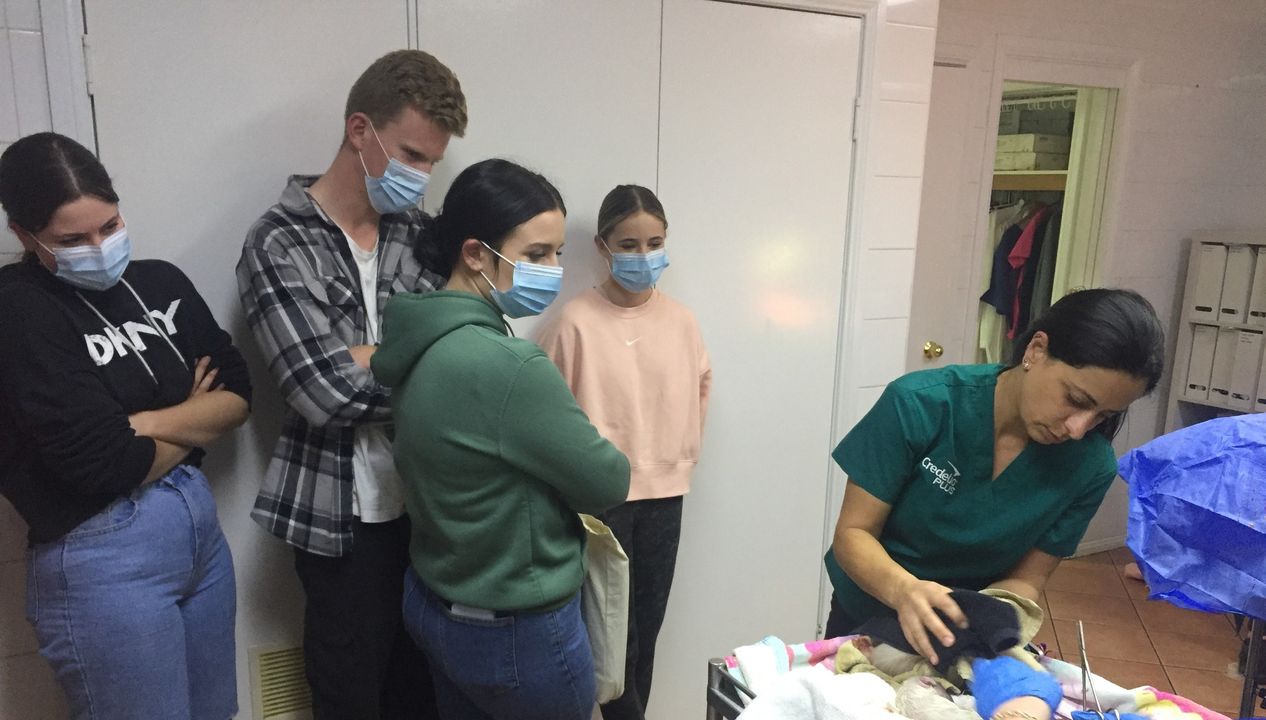 Bede Polding College | South Windsor