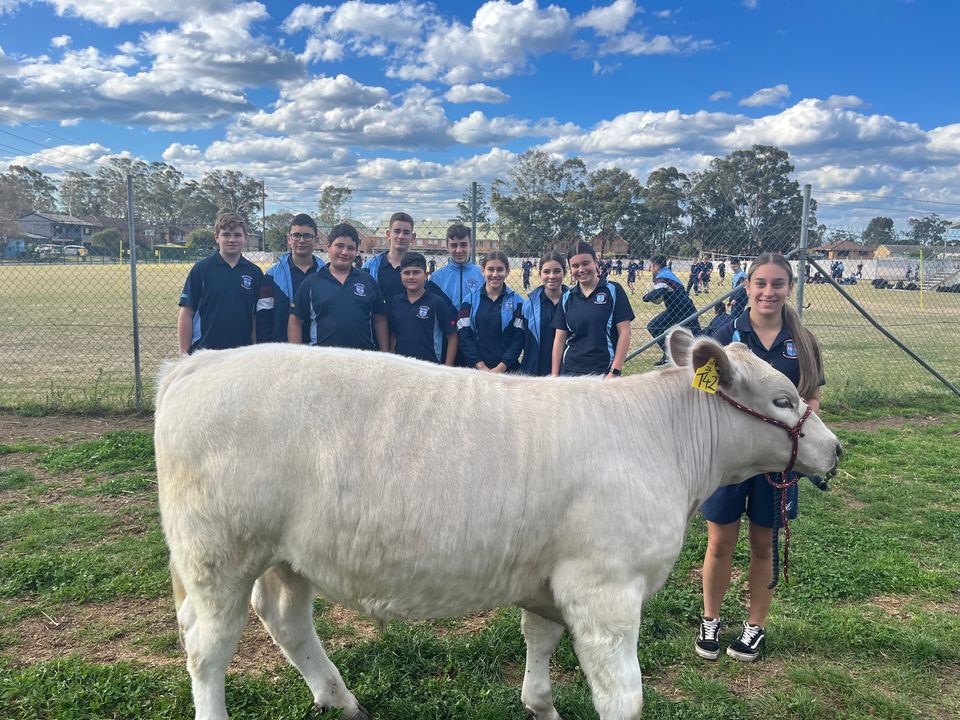 Bede Polding College | South Windsor