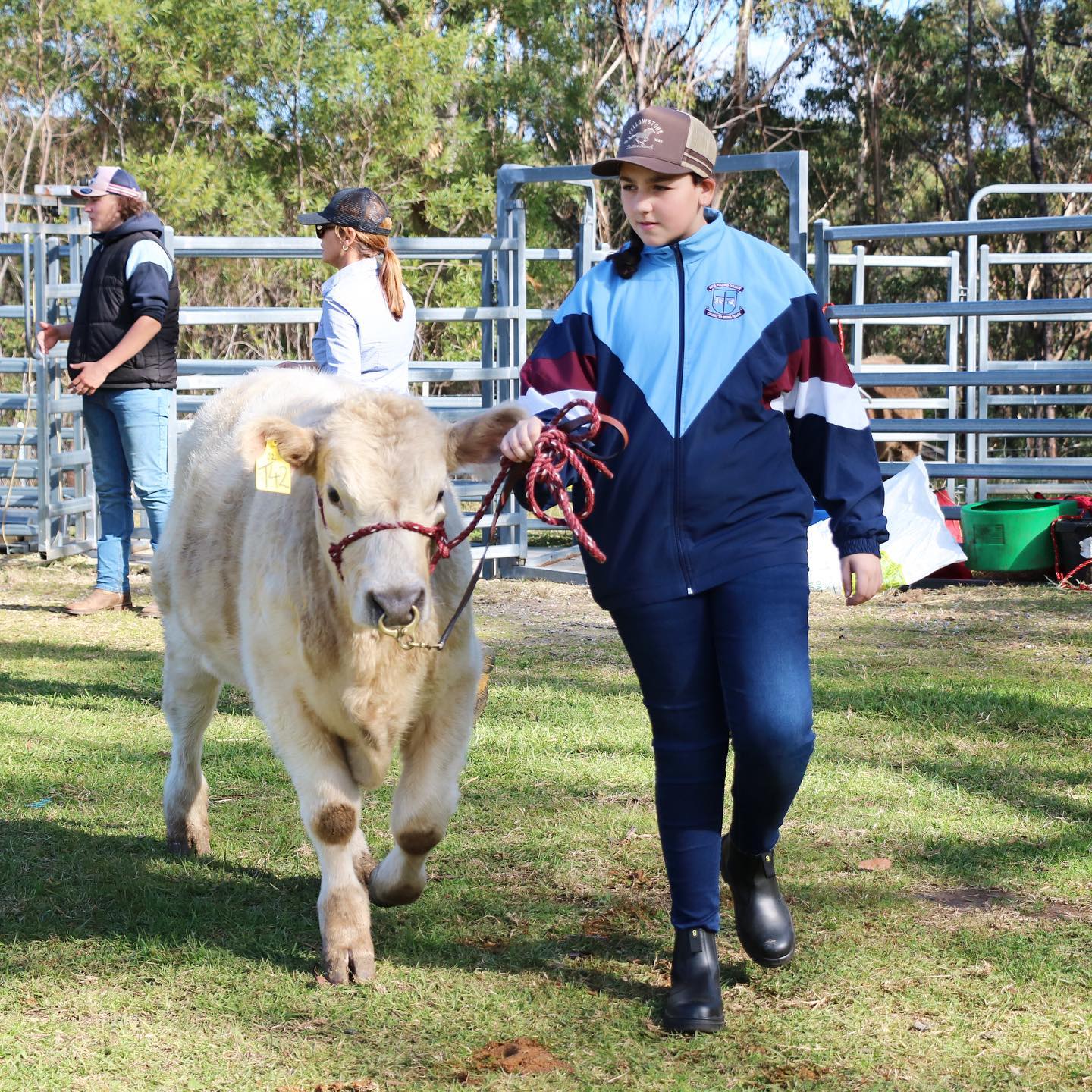 Bede Polding College | South Windsor